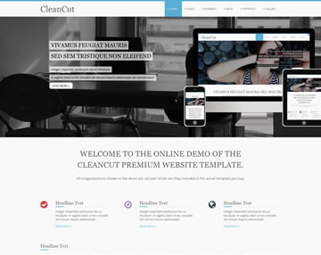 Free CSS | Buy Your Premium CSS Templates Here